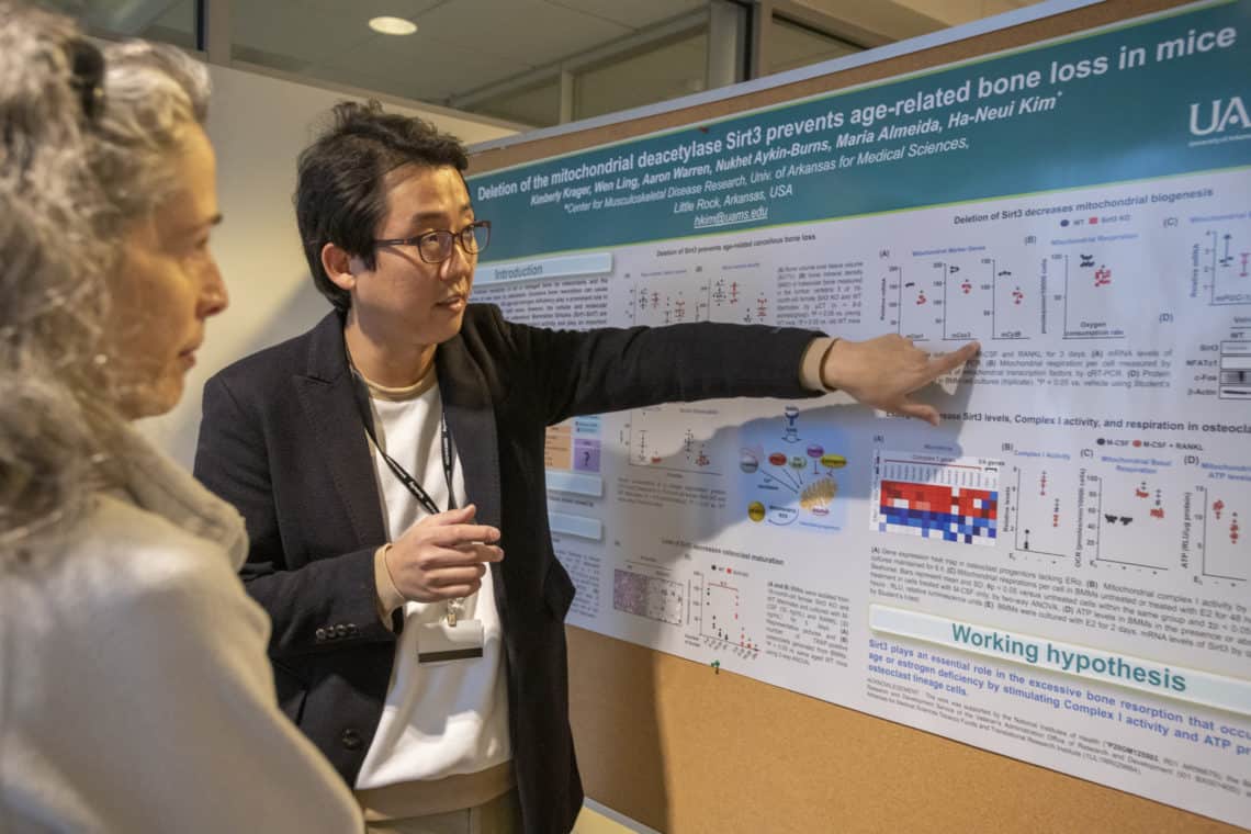Bone Research Showcased as Vibrant, Vital at UAMS | UAMS News