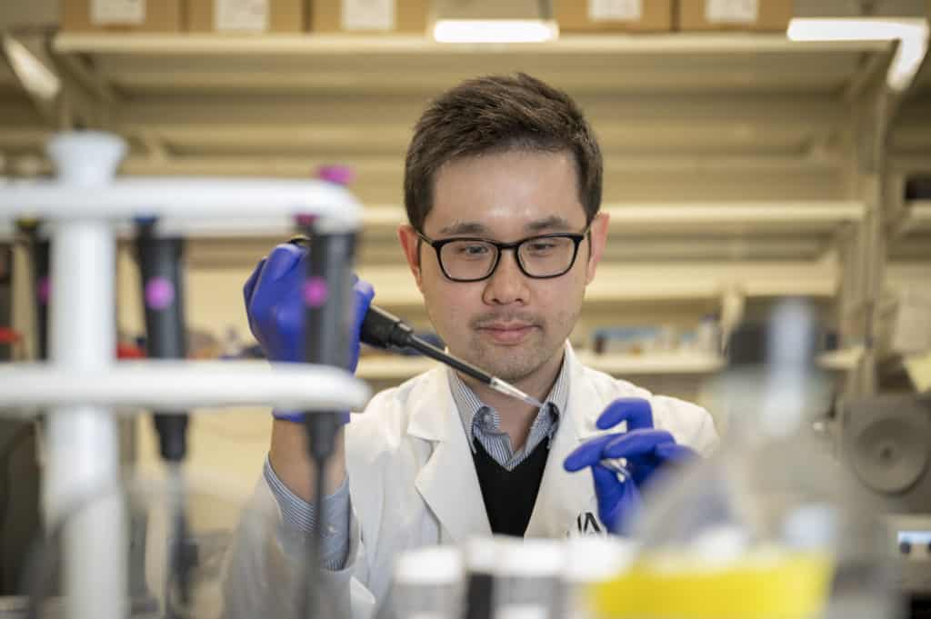 $1.9 Million Grant Funds DNA Damage Research by UAMS Scientist Justin ...
